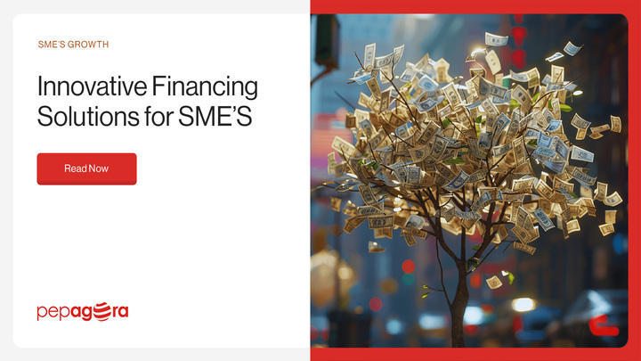 Innovative Financing Solutions for SME’S - Pepagora Blog